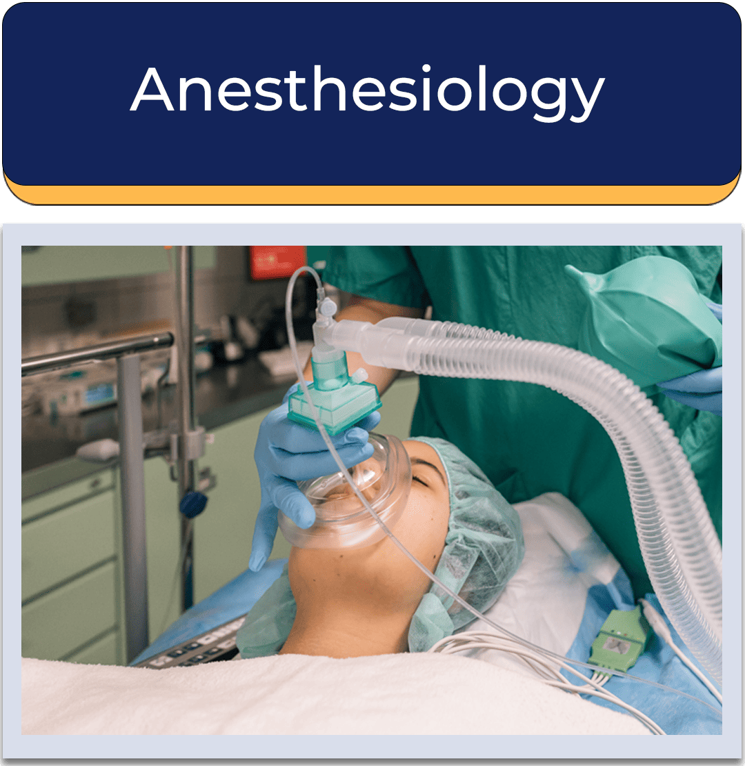 Our Departments - Dubai Medical University Hospital